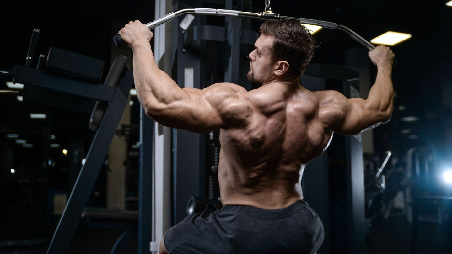 How To Overhead Press: A Beginner's Guide – Bodybuilding.com